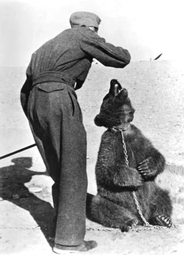 Wojtek Bear Statue