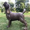 Why Do People Like Bronze Beagle Statues?
