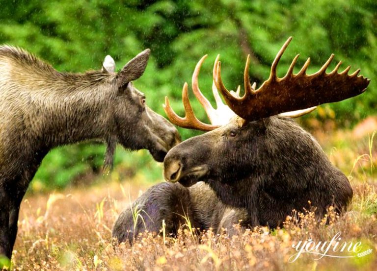 How Was the Realistic Bronze Large Moose Statue Made?- YouFine