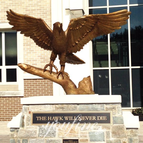 Large Bronze Hawk Statue for School Garden BOK1-068 - YouFine Sculpture