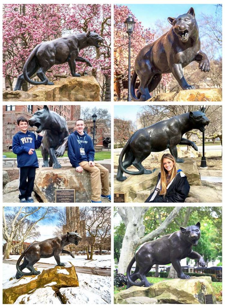 Bronze Wildlife Pitt Panther Statue School Campus Animal Mascot ...