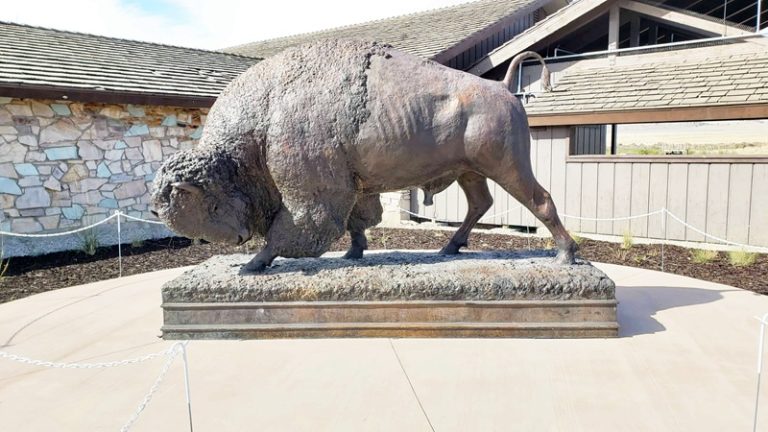 Top 12 Bronze Wildlife Sculptures in America’s Most Famous Park