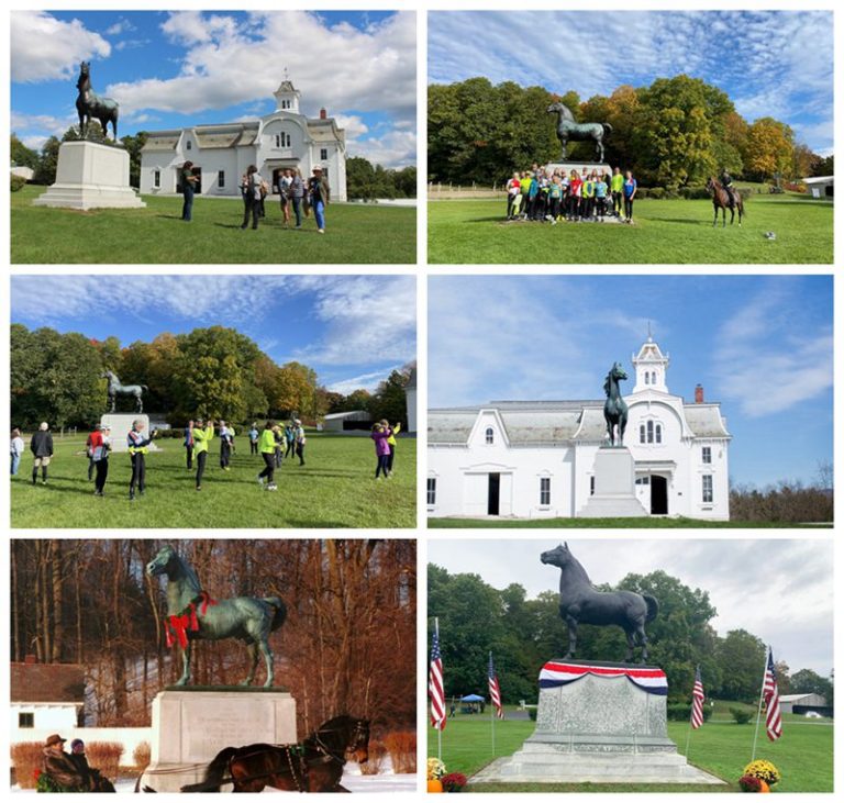 Famous Farm Bronze Standing Morgan Horse Statue Replica-YouFine