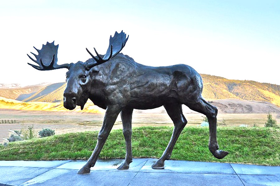 Bronze Moose Sculptures - Animal Garden Statues