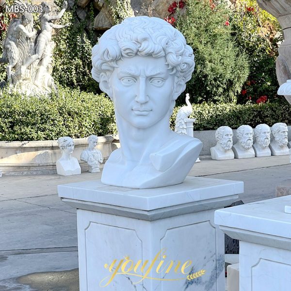 High Quality Marble Bust of David Statue for Sale Factory Supply
