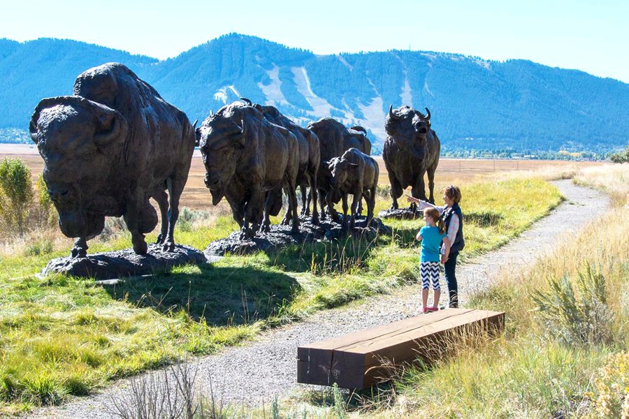 Bronze Bison Sculpture - Wildlife Statue