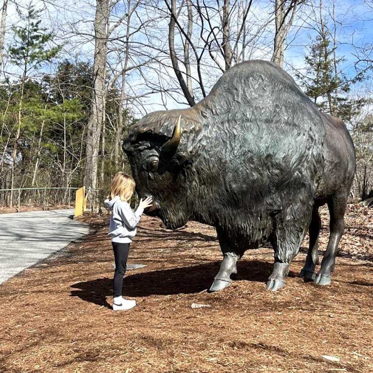 Bronze Bison-Custom Wildlife Statue