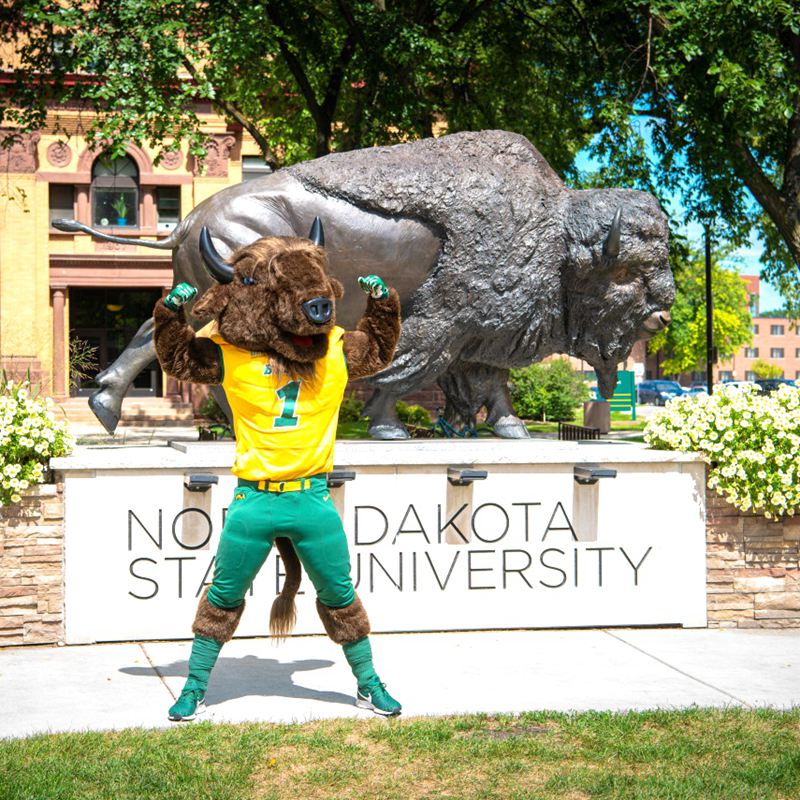 Large Bison-Custom Wildlife Statue