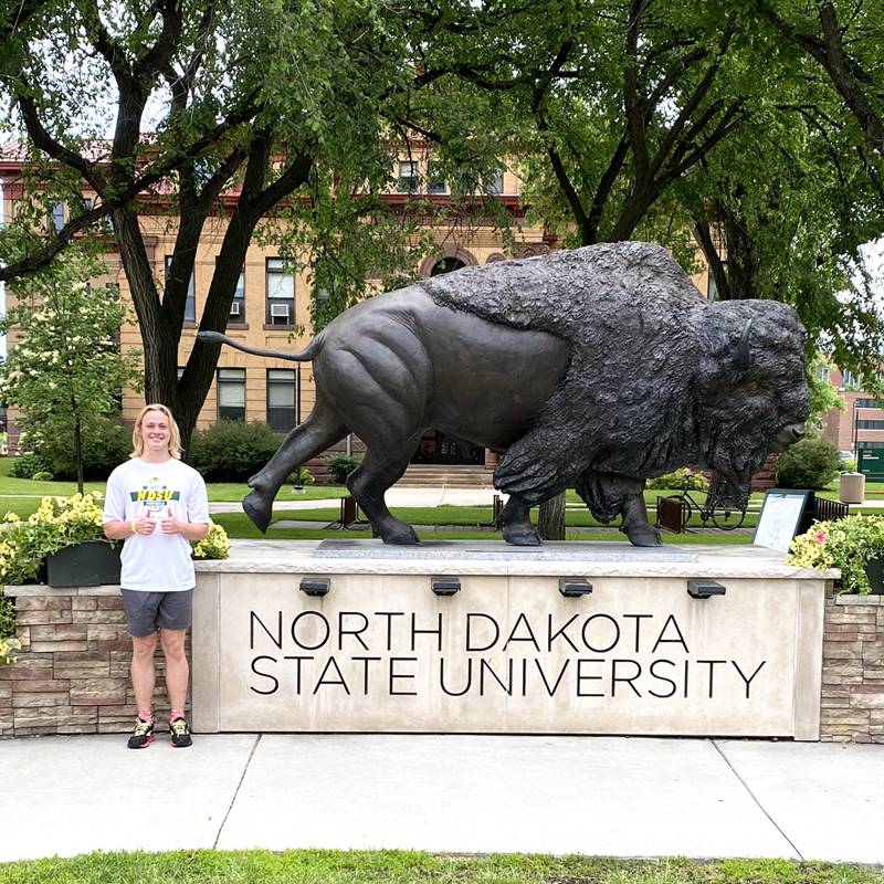 Bronze Bison Sculpture - Wildlife Statue - YouFine