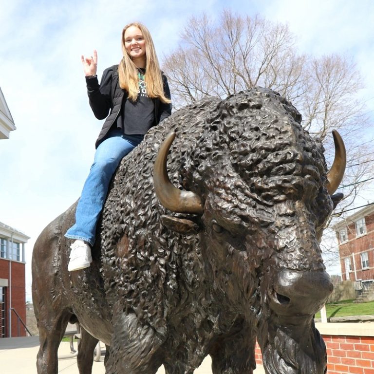 Life Size Buffalo Statue for Sale
